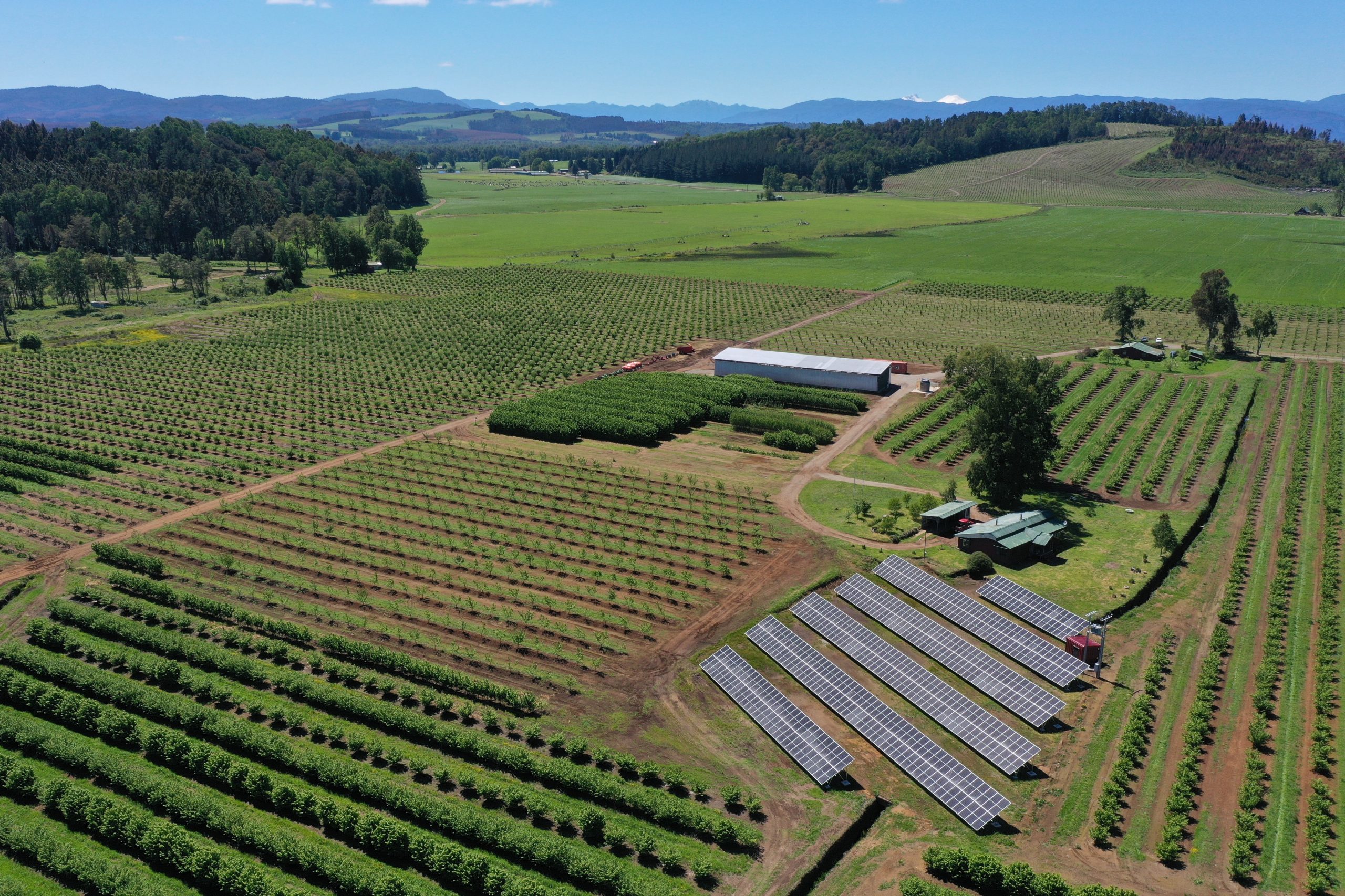 HANUSA, hacia un futuro más sostenible - Revista VC Magazine